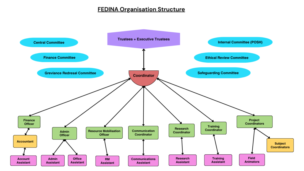 Organisational Structure – FEDINA